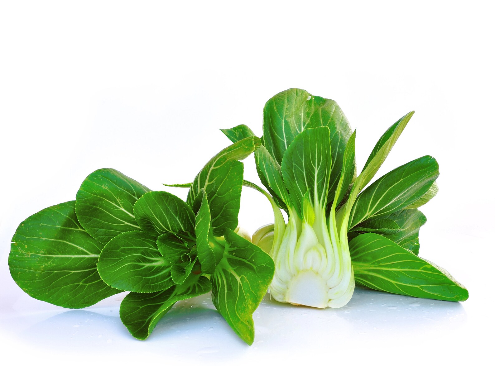 Pak Choi Chinese Cabbage Seeds, Bok Choy Seeds - Etsy