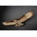 Hawk Woodcarving Flying Sculpture by Jason Tennant - Etsy