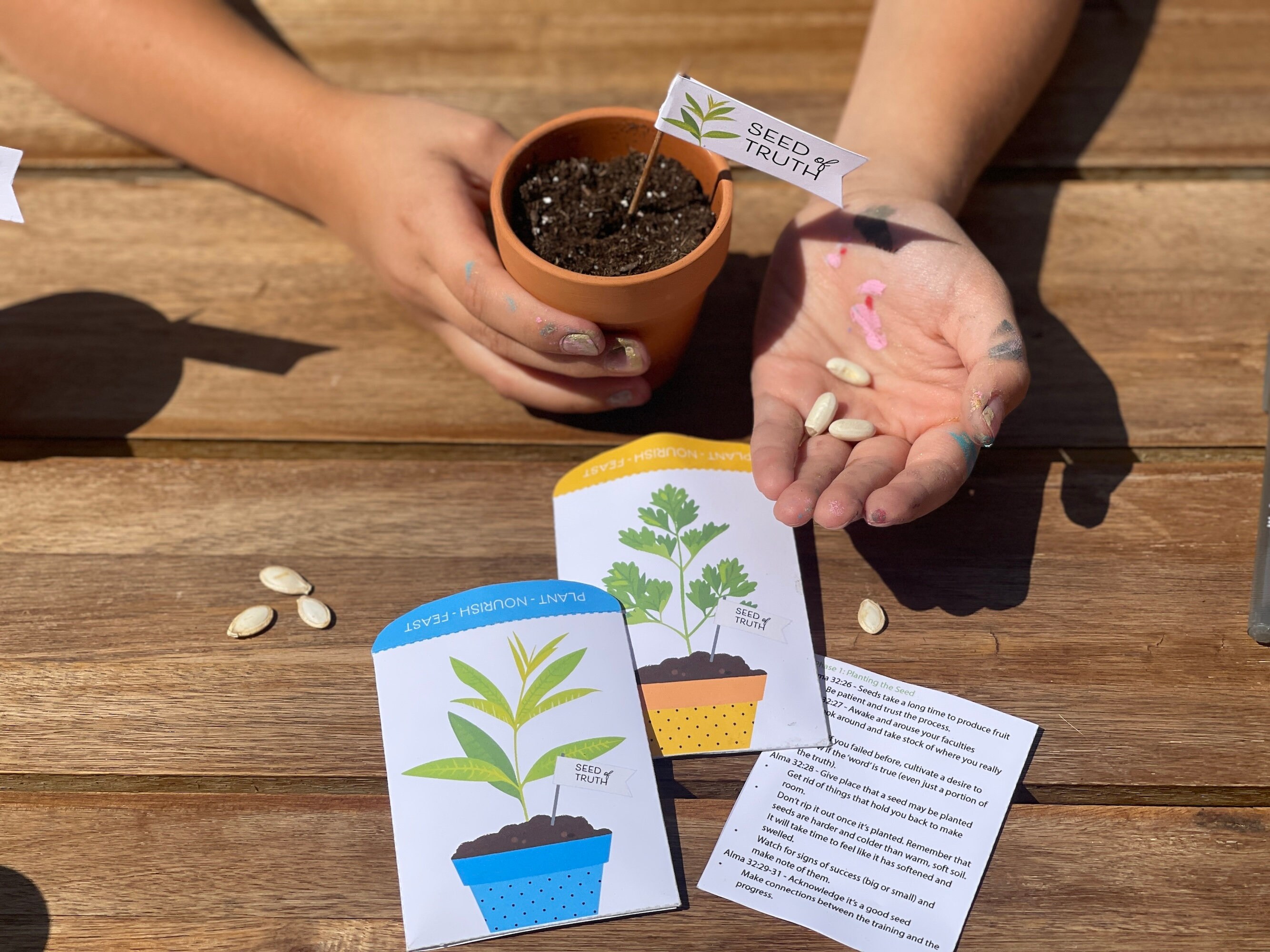 Experiment Upon the Word Seed Growing Kit | Object Lesson on Faith and ...