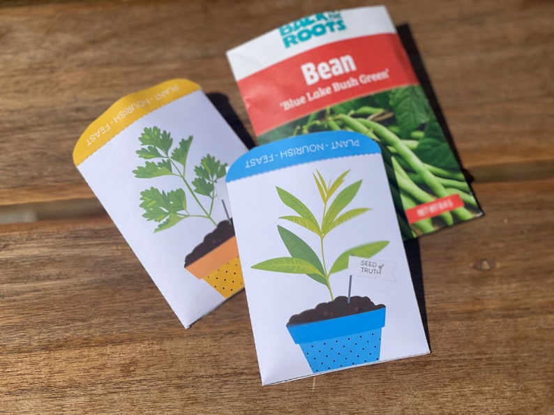 Experiment Upon the Word Seed Growing Kit | Object Lesson on Faith and ...
