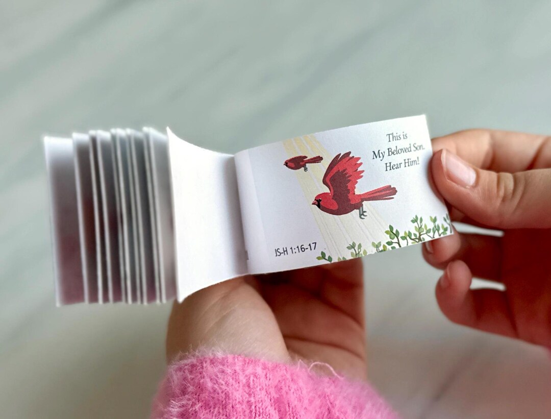 First Vision Flip Book | D&C Object Lesson on the Different Accounts of ...