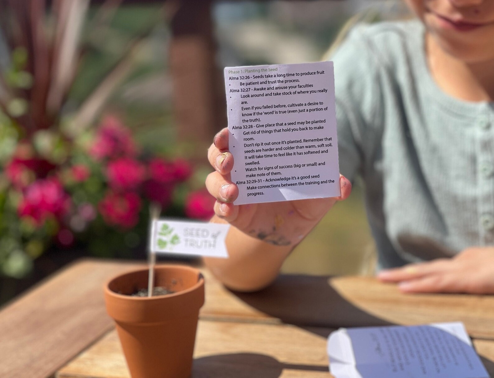 Experiment Upon the Word Seed Growing Kit | Object Lesson on Faith and ...