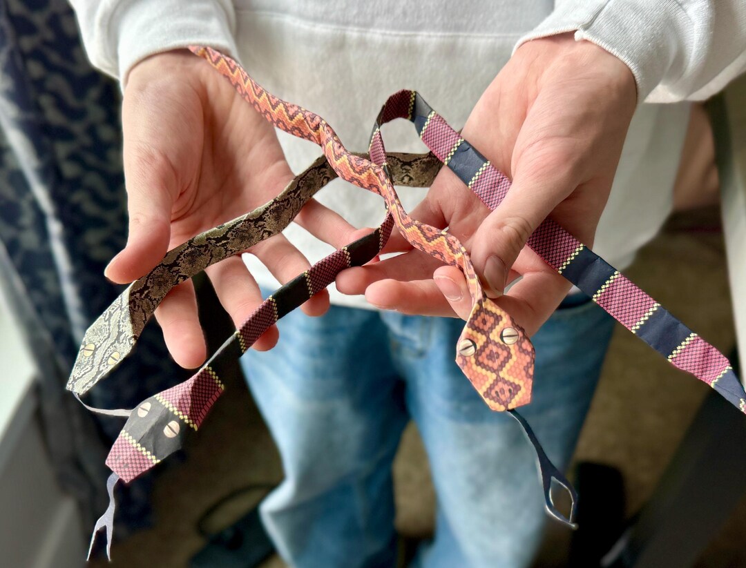 Hidden in Plain Sight Snakes | D&C Object Lesson on the Strategies of ...