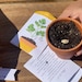Experiment Upon the Word Seed Growing Kit | Object Lesson on Faith and ...