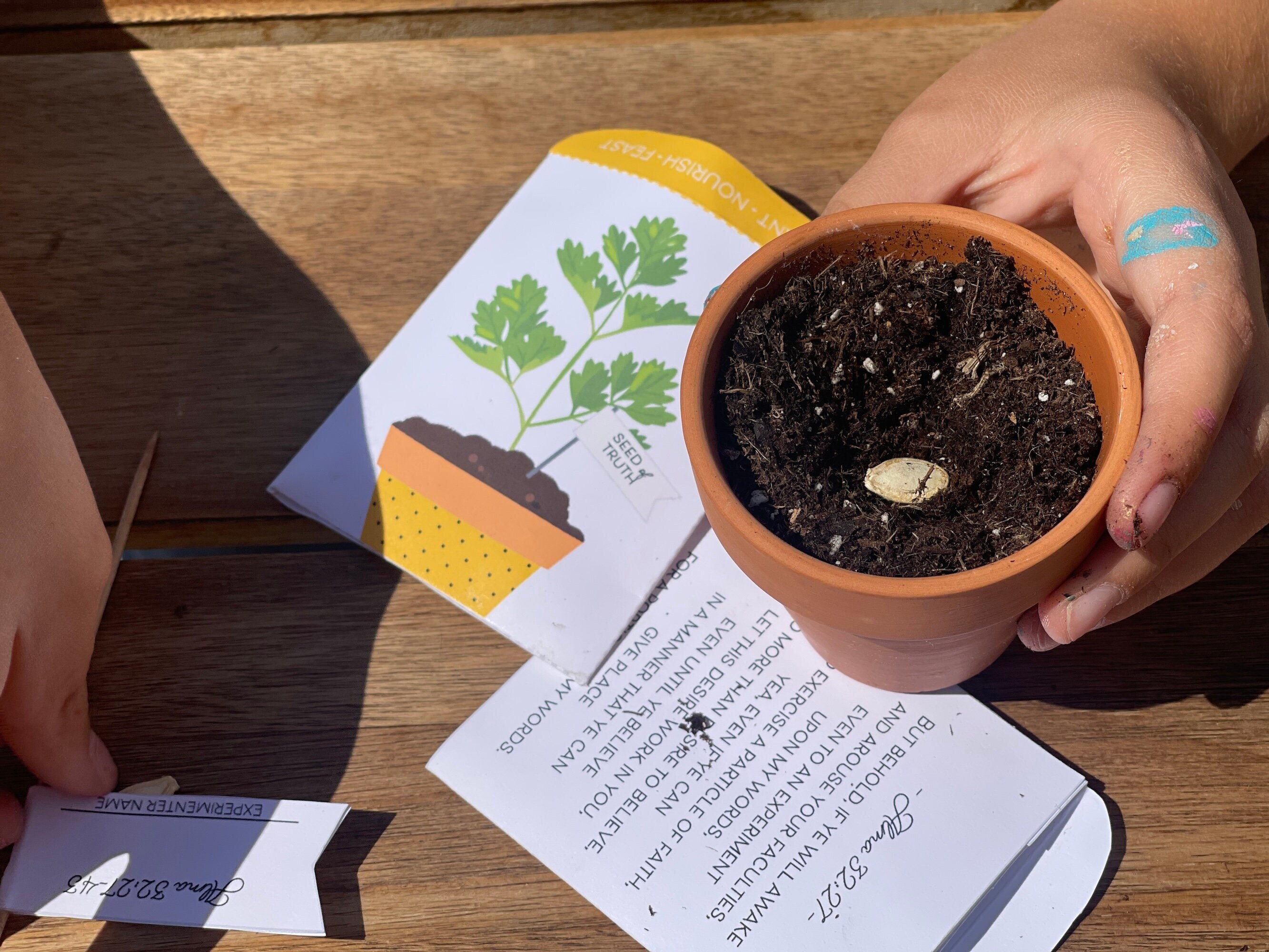 Experiment Upon the Word Seed Growing Kit | Object Lesson on Faith and ...