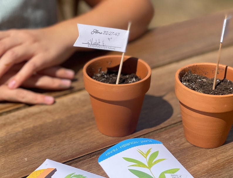 Experiment Upon the Word Seed Growing Kit | Object Lesson on Faith and ...