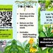 Back to School Jungle Brochure Digital Download Open House Editable ...