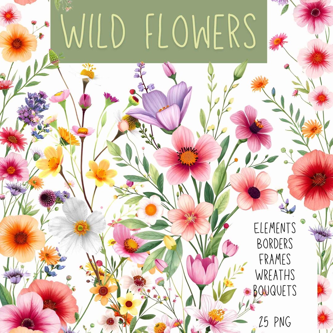 Wild Flowers Clipart, Wild Flower PNG, Watercolor Summer Flowers ...
