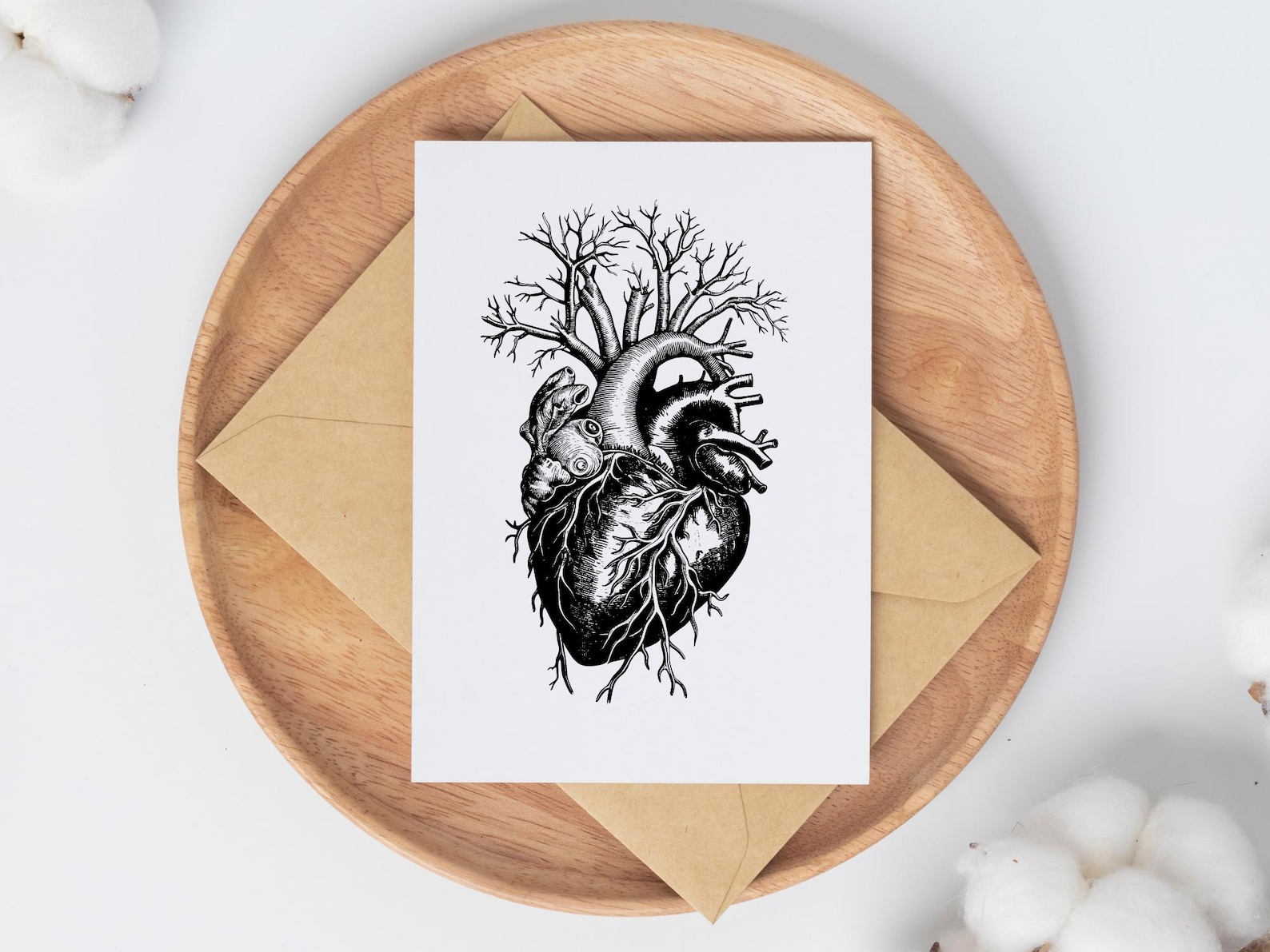 Heart Svg Bundle, Human Heart Svg, Anatomical Heart Svg, Anatomical ...
