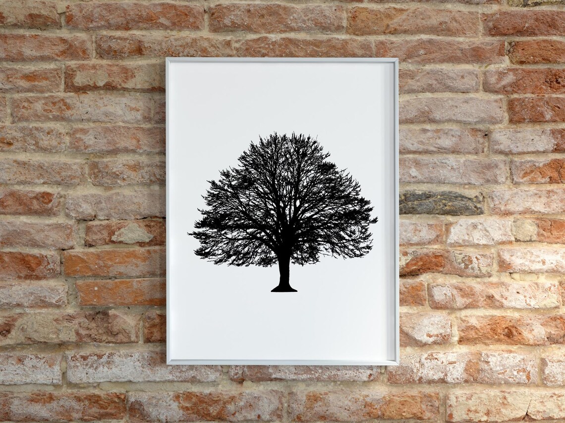 Oak Tree SVG Bundle , Tree Svg, Big Tree Svg, Oak SVG, Outdoor SVG ...