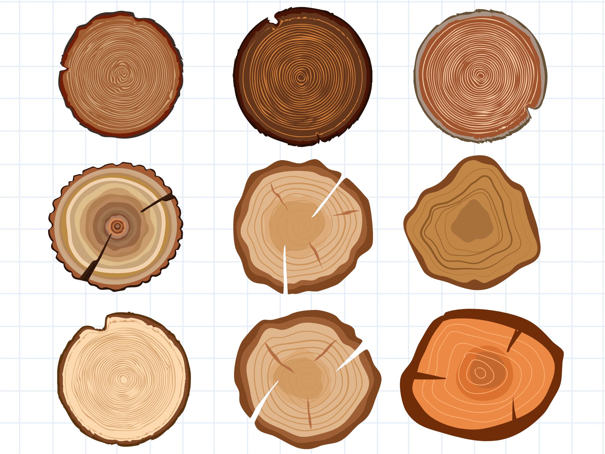 Wood Slice SVG Bundle, Tree Rings Svg,wood Slice Dxf, Wood Slice Png ...