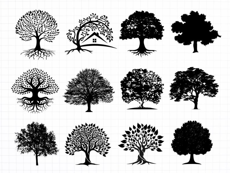 Oak Tree SVG Bundle , Tree Svg, Big Tree Svg, Oak SVG, Outdoor SVG ...