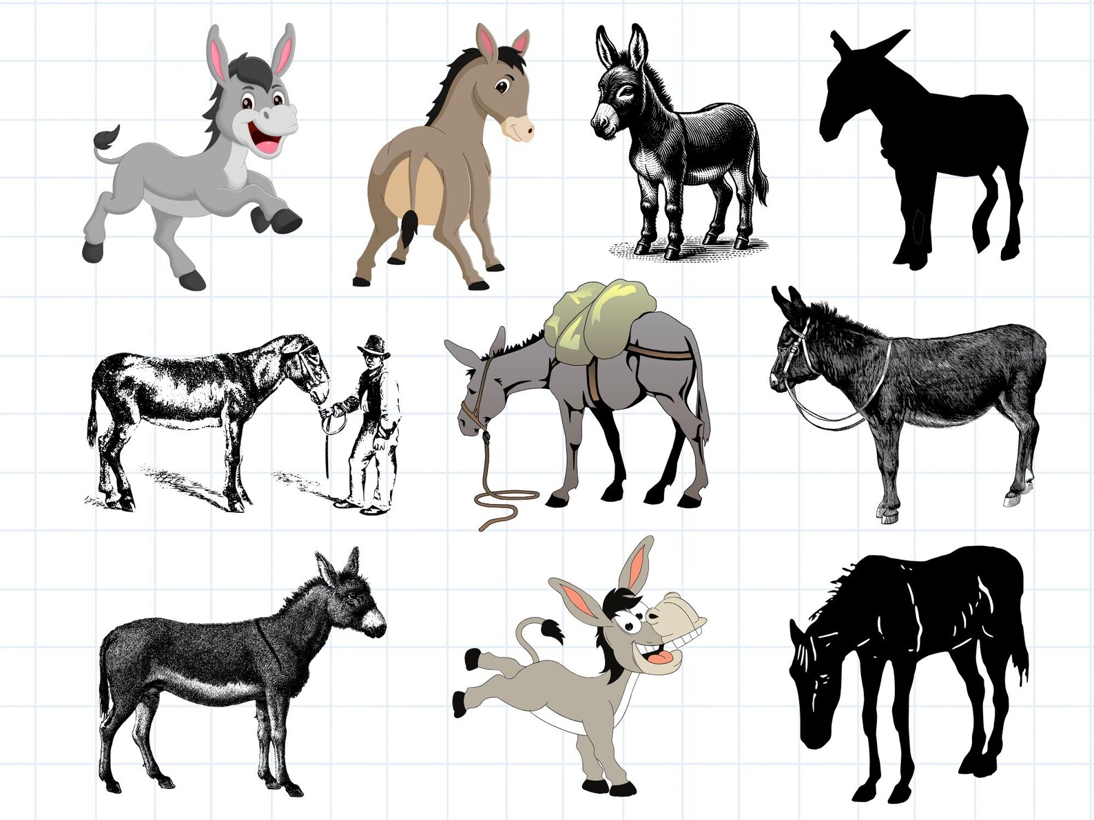 Donkey SVG Bundle, Cool Donkey Svg, Funny Donkey Png, Donkeys Svg Png ...