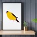 Goldfinch SVG Bundle, American Goldfinch Png, American Goldfinch Vector ...