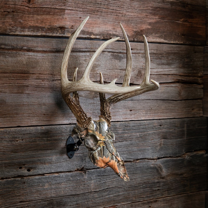 Deer Skull Antlers - Etsy