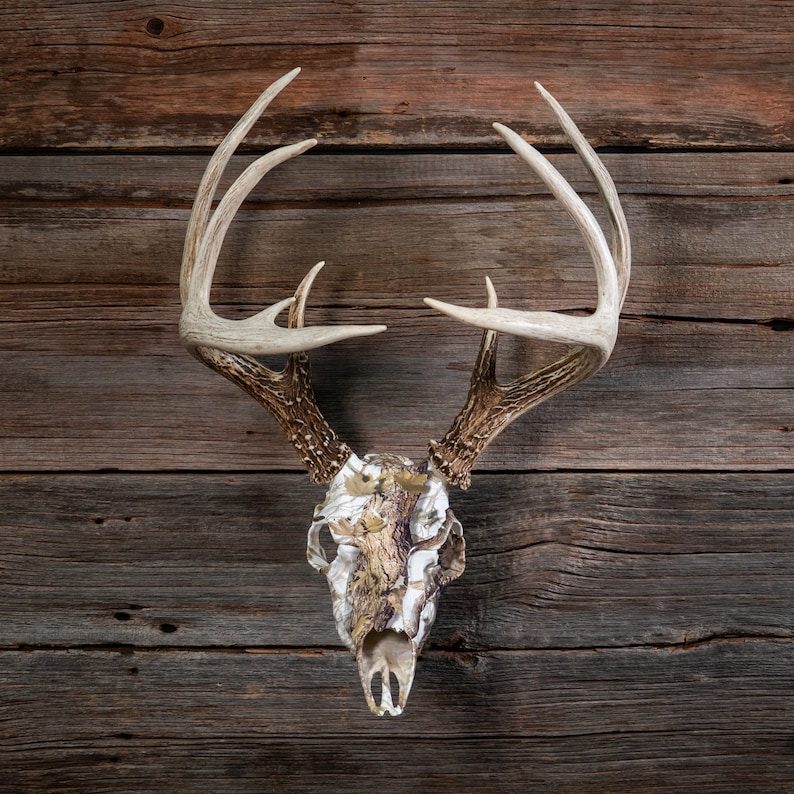 Skull Master SNOW CAMO Custom Size Hydro Dip Deer Skull Replica DIY ...