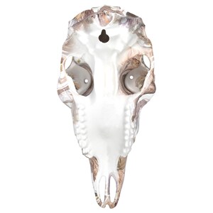 Skull Master - SNOW CAMO - Custom Size - Hydro Dip - Deer Skull Replica ...
