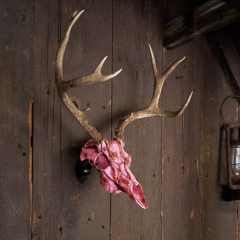 Pink Deer - Etsy