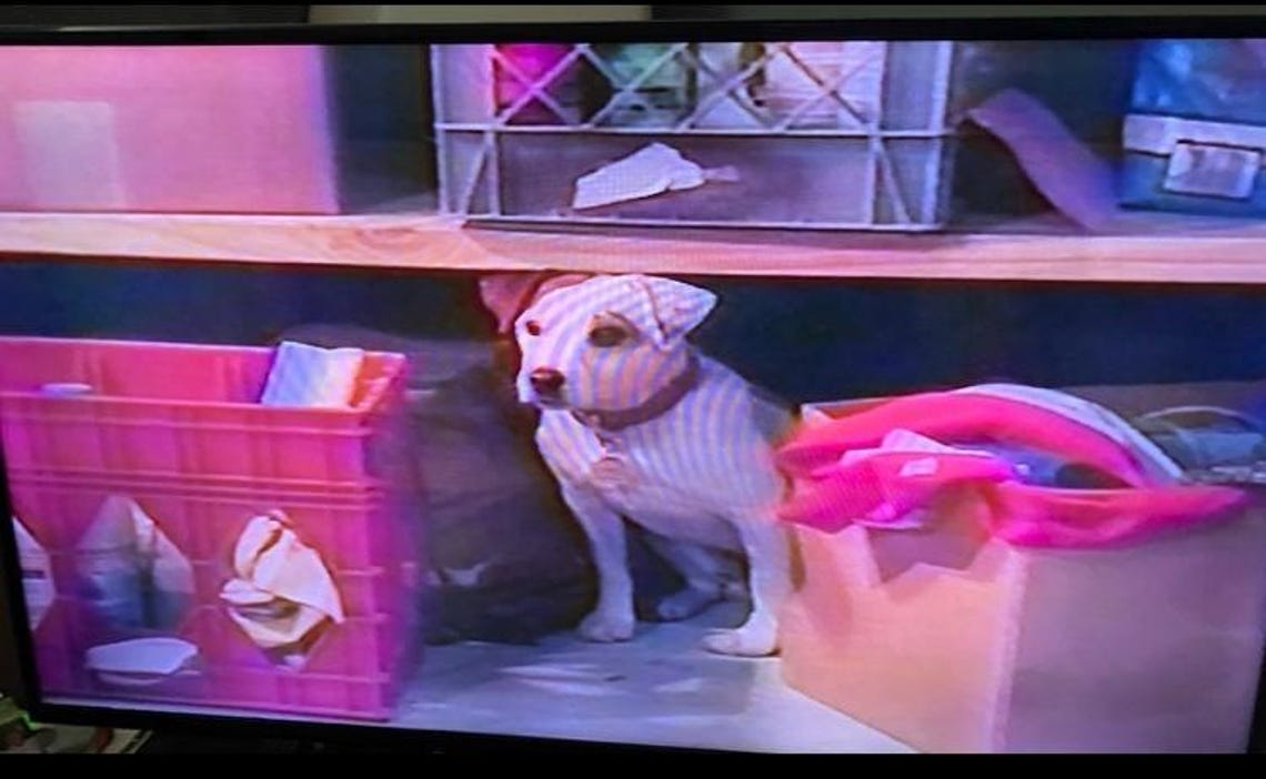 PBS 90's Arthur, Magic School Bus, Wishbone Commercials VHS Blank - Etsy