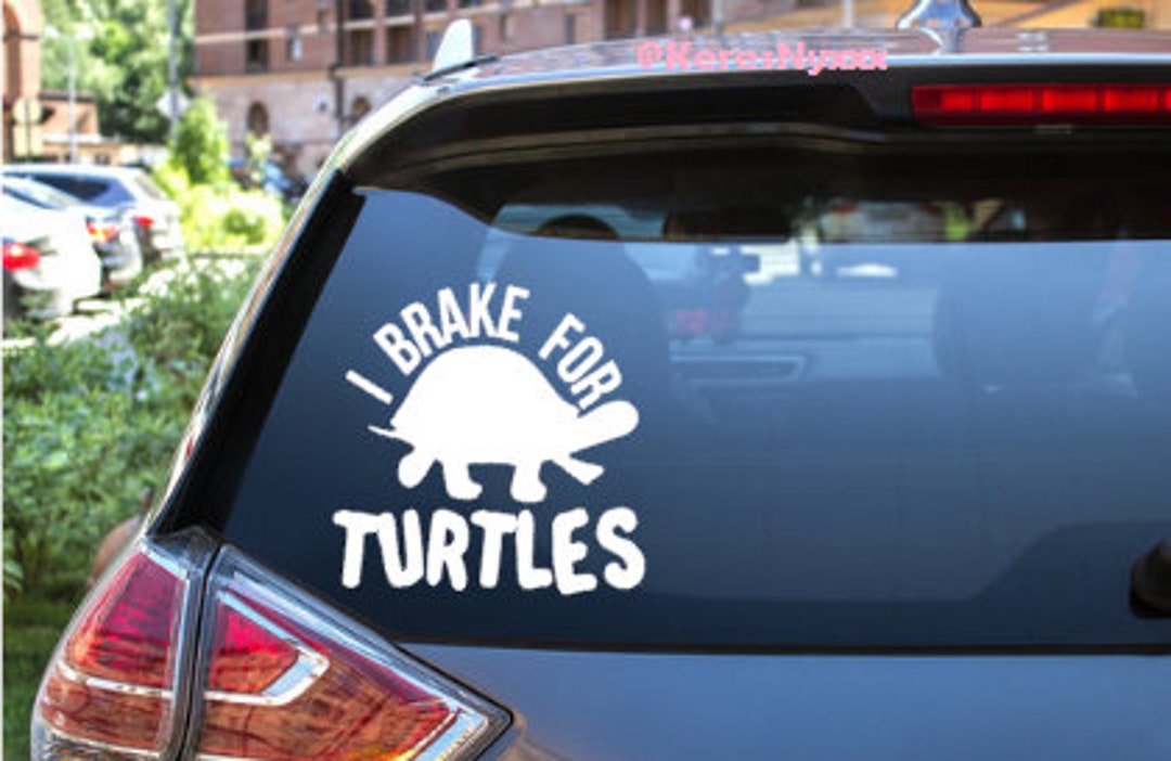 I Brake for Turtles Critters Wildlife Animals Turtle Lover Vinyl Decal ...