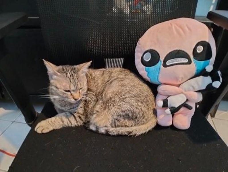 Game the Binding of Isaac Plush - Etsy