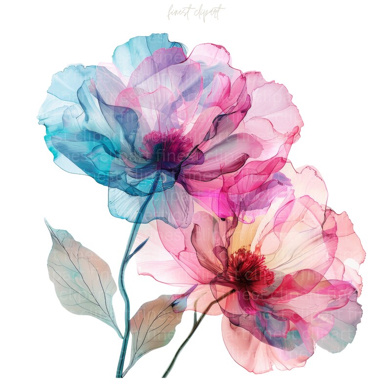 10 Abstract Watercolor Flower Clipart PNG Set - Pink and Turqoise ...