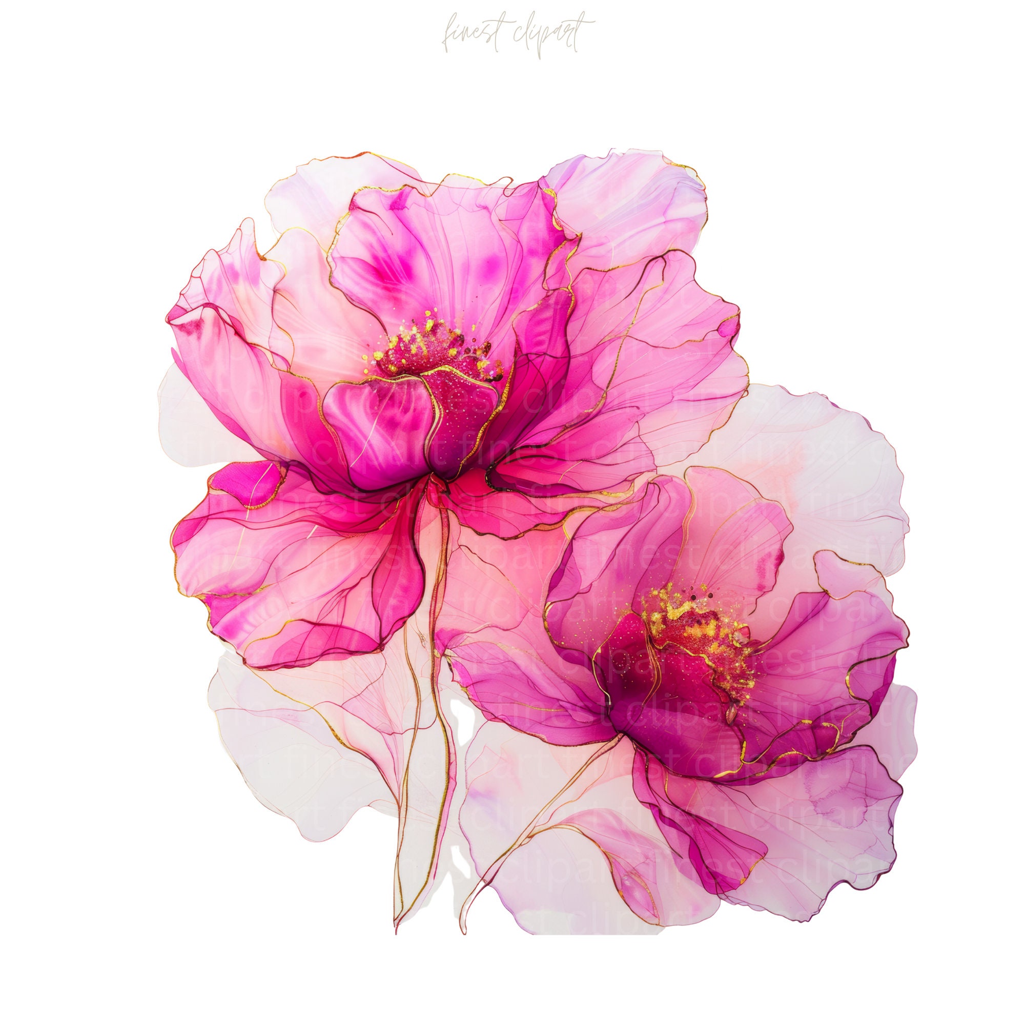 15 Abstract Watercolor Flower Clipart PNG Set Pink and Gold Blossoms ...