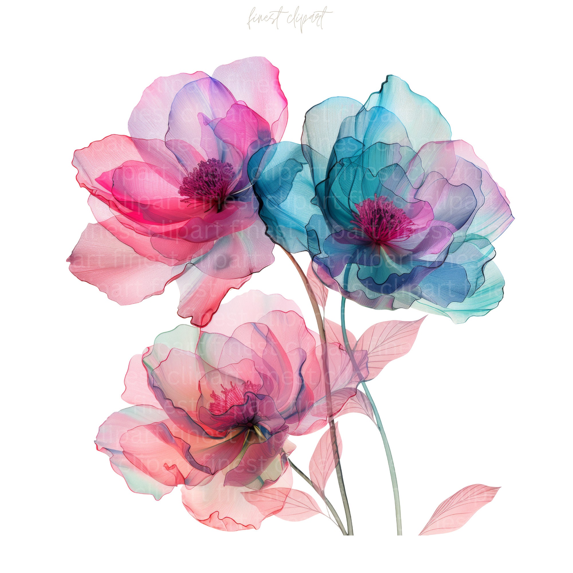 10 Abstract Watercolor Flower Clipart PNG Set - Pink and Turqoise ...