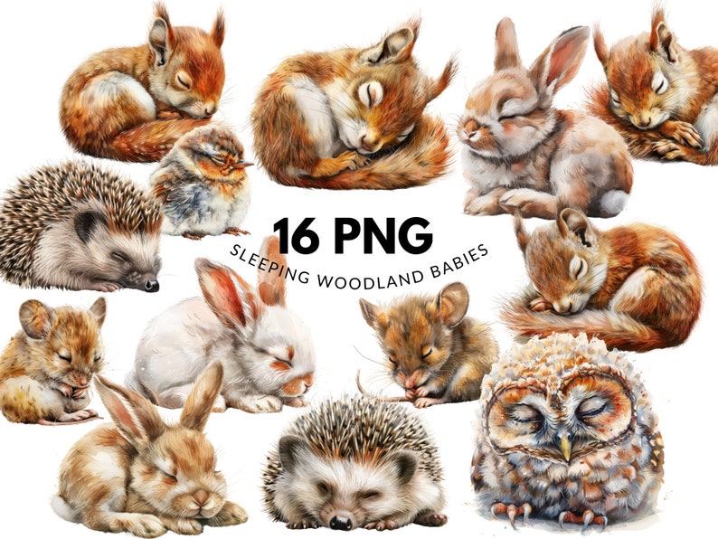 Sleepy Woodland Baby Animal Clipart Set Vol. 1: 16 PNG Files ...