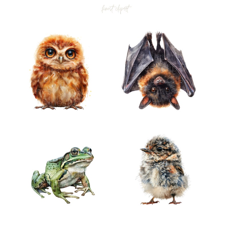 Woodland Baby Animal Clipart Set: 18 PNG Files, Naturalistic Watercolor ...