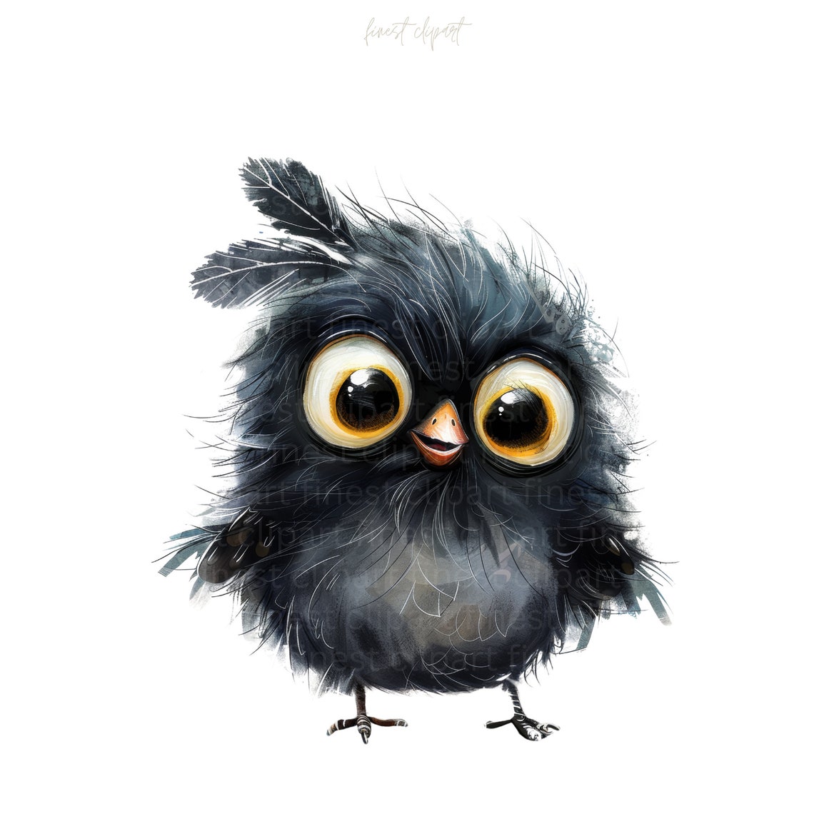 Funny Whimsical Bird Clipart Set: 18 PNG Files, Quirky Watercolor Birds ...