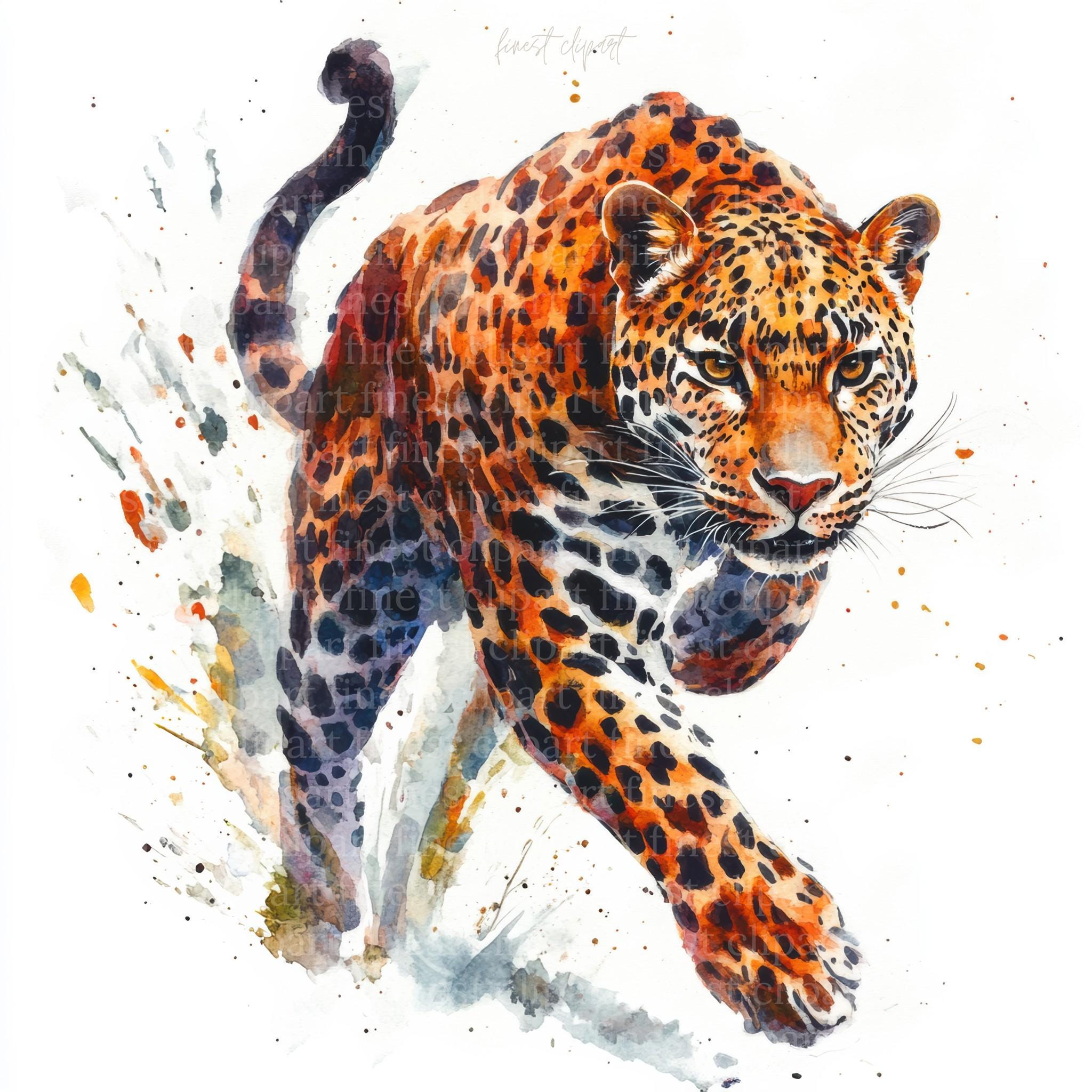 10 Running Leopard Clipart JPG Watercolor Images on White Background ...