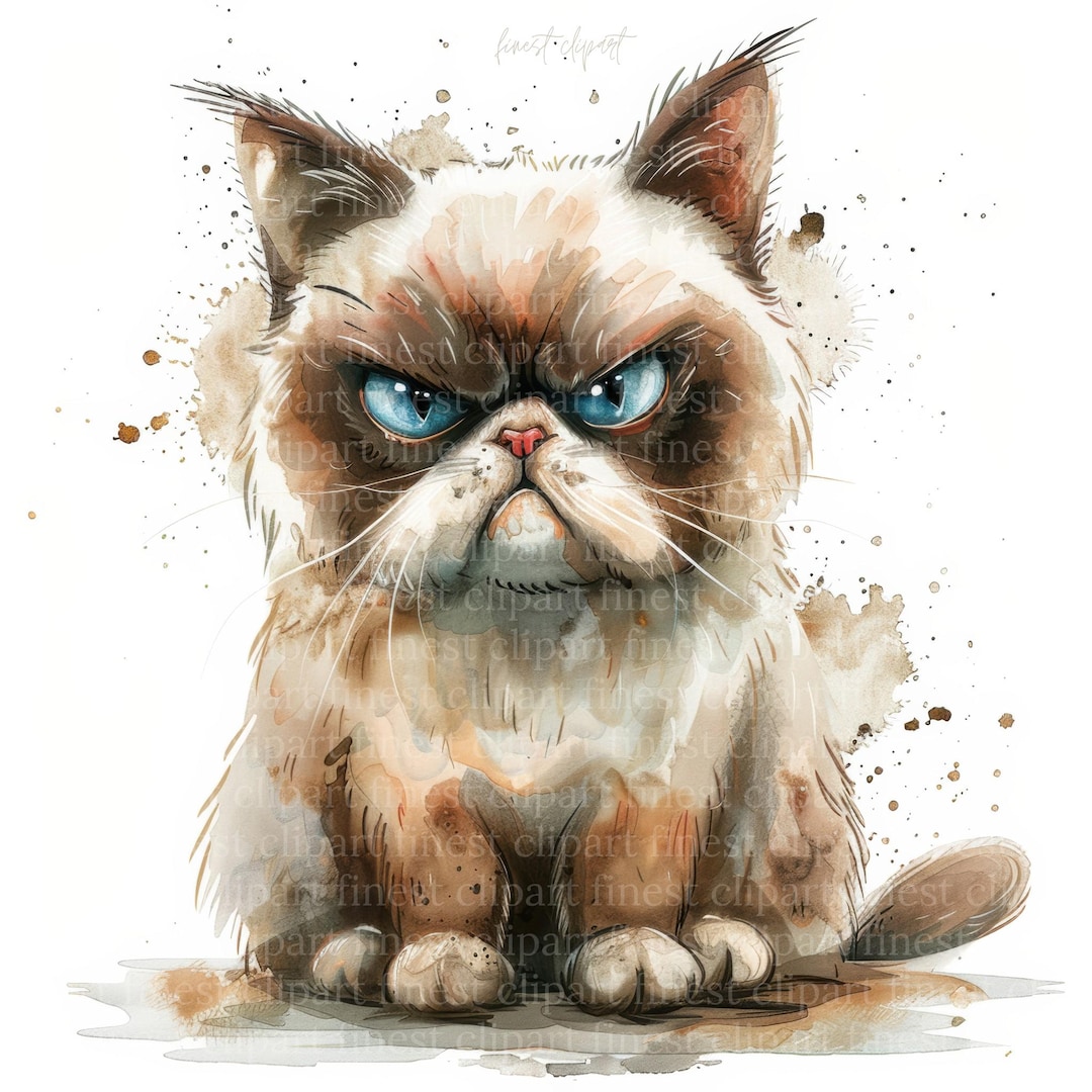 10 Grumpy Cartoon Cat JPG Clipart Set - Annoyed Cat Watercolor Images ...