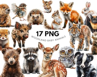 Cute Animals Clipart 110 PNG Watercolor Cute Animal Safari Animal ...