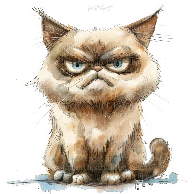 10 Grumpy Cartoon Cat JPG Clipart Set Annoyed Cat Watercolor Images ...