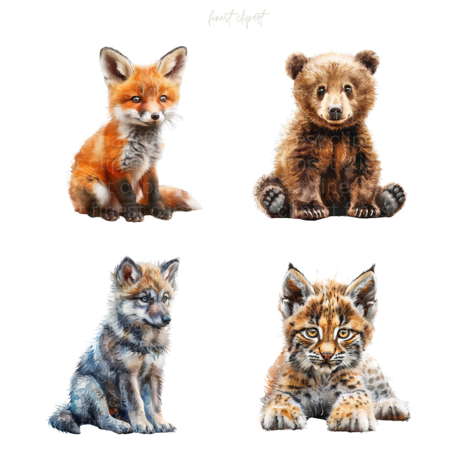 Woodland Baby Animal Clipart Set: 18 PNG Files, Naturalistic Watercolor ...
