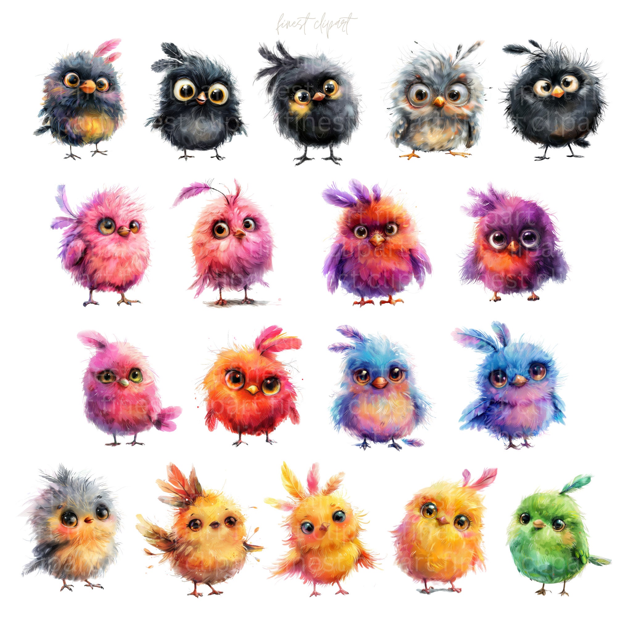 Funny Whimsical Bird Clipart Set: 18 PNG Files, Quirky Watercolor Birds ...