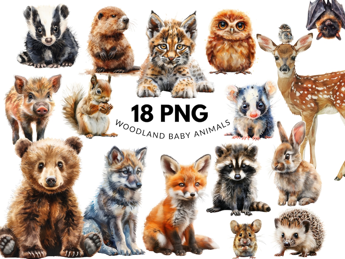 Woodland Baby Animal Clipart Set: 18 PNG Files, Naturalistic Watercolor ...