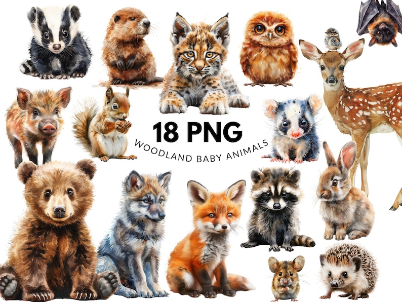 Woodland Baby Animal Clipart Set: 18 PNG Files, Naturalistic Watercolor ...