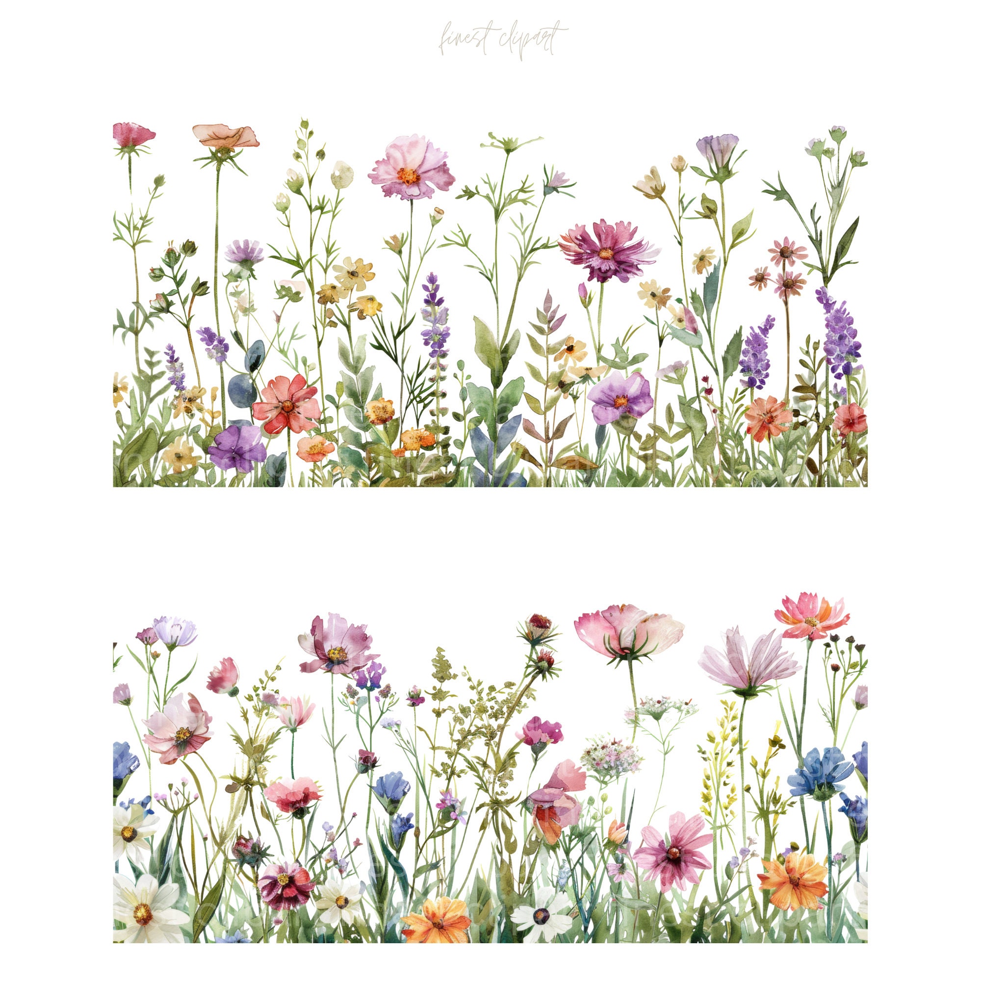 25 Wildflower Meadow Clipart PNG Set - Summer Borders, Bouquet, and ...