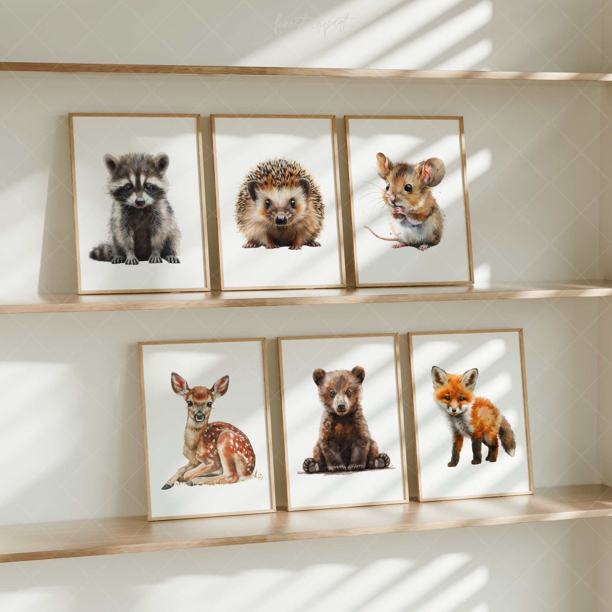Woodland Baby Animal Clipart Set: 17 PNG Files, Naturalistic Watercolor ...