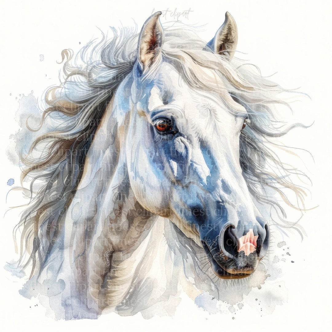 11 White Horse Clipart Watercolor JPG - Animal Portraits - White ...