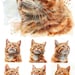 10 Red Cat Clipart Images - Cute Watercolor Cat Head Portraits, White ...