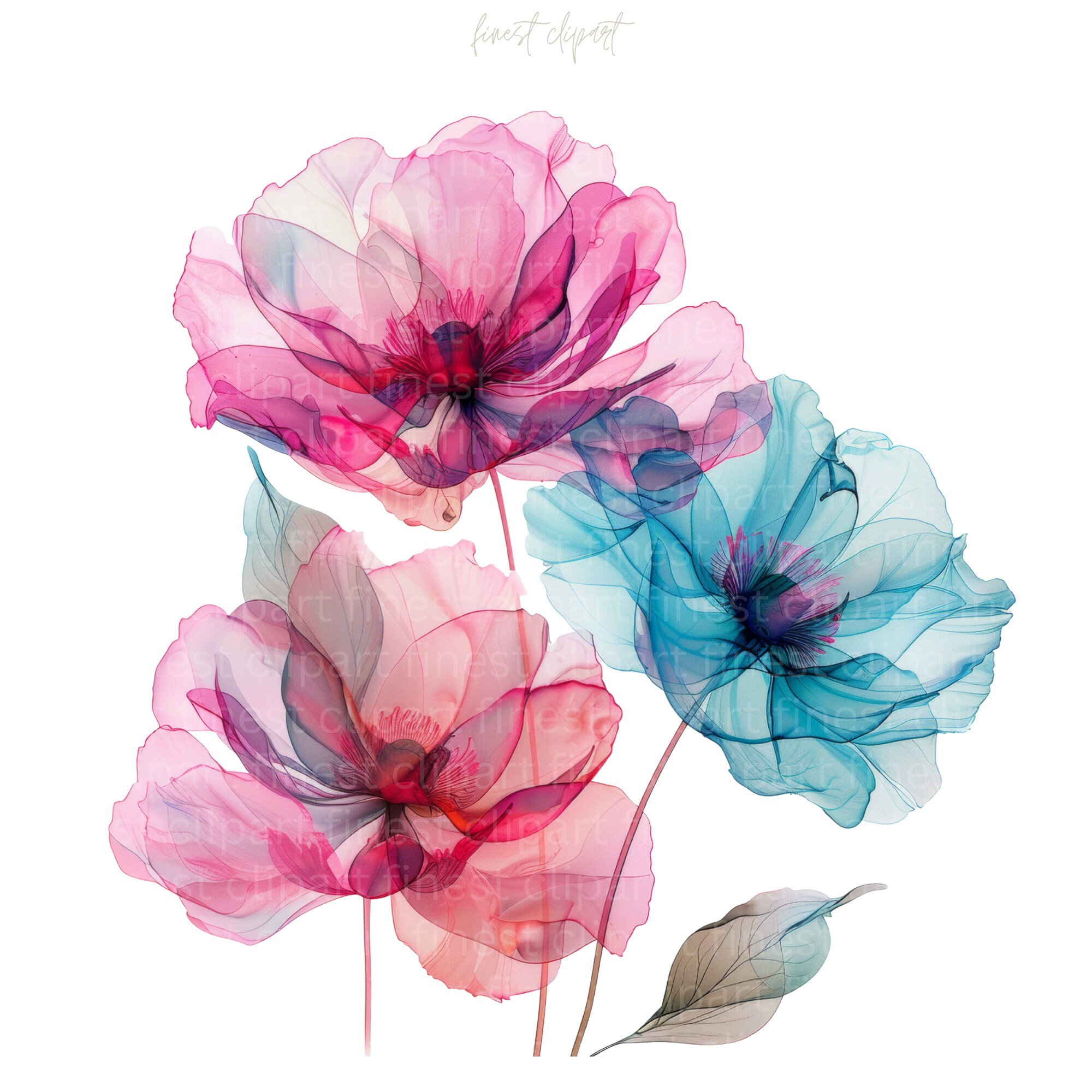 10 Abstract Watercolor Flower Clipart PNG Set Pink and Turqoise ...