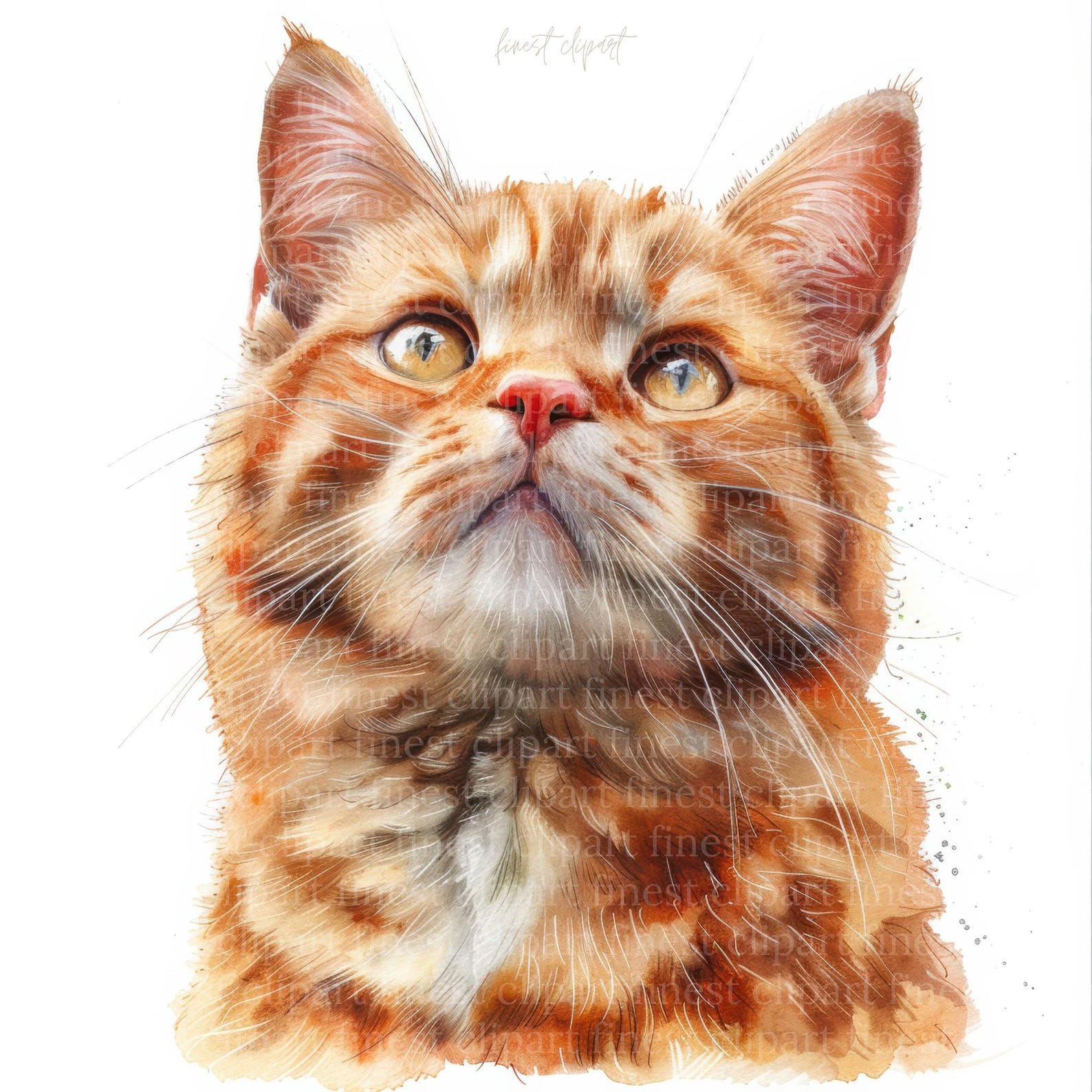 10 Red Cat Clipart Images - Cute Watercolor Cat Head Portraits, White ...