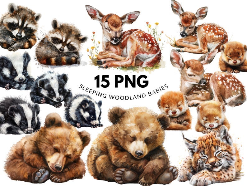 Sleepy Woodland Baby Animal Clipart Set Vol. 2: 15 PNG Files ...