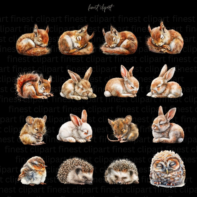 Sleepy Woodland Baby Animal Clipart Set Vol. 1: 16 PNG Files ...