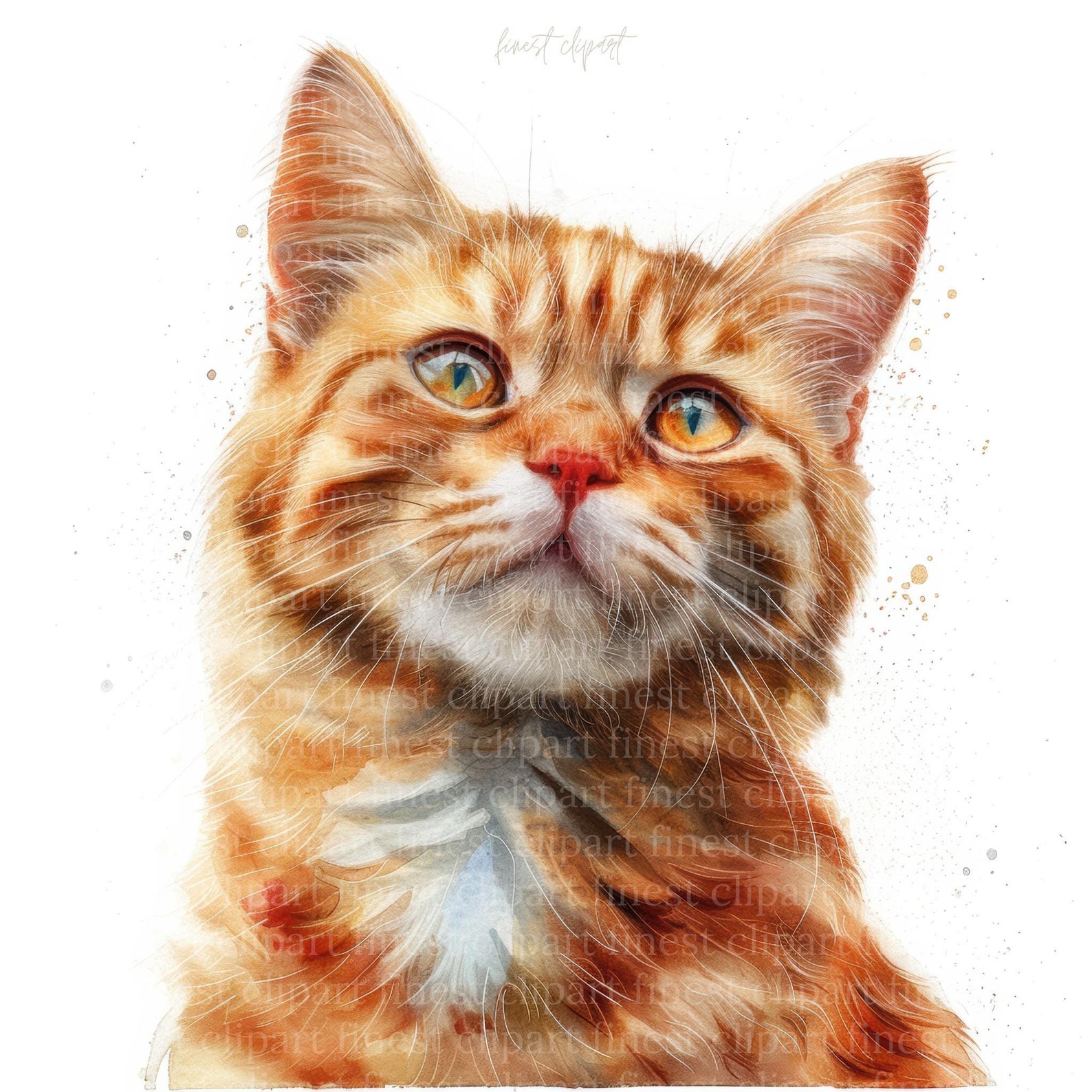10 Red Cat Clipart Images - Cute Watercolor Cat Head Portraits, White ...