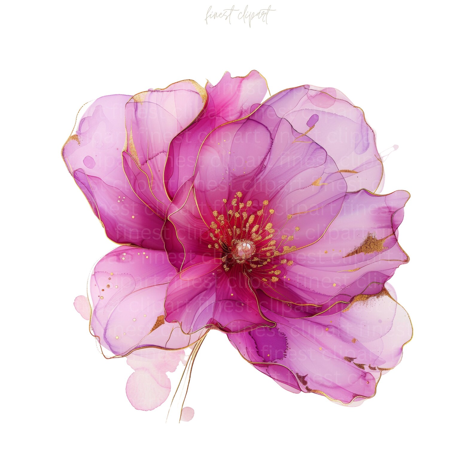 15 Abstract Watercolor Flower Clipart PNG Set Pink and Gold Blossoms ...