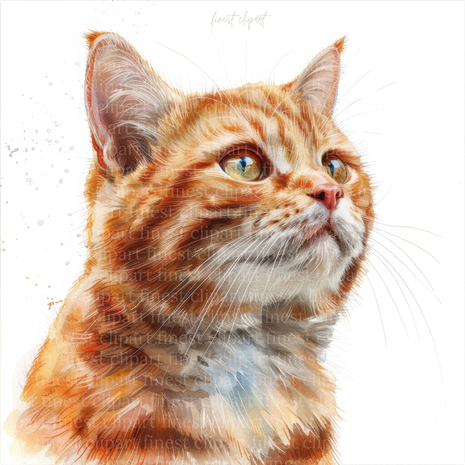 10 Red Cat Clipart Images - Cute Watercolor Cat Head Portraits, White ...